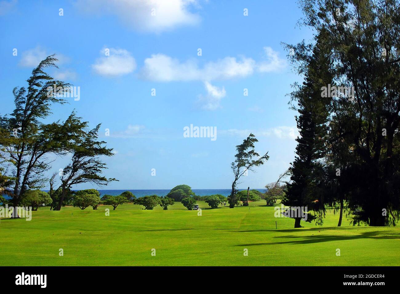 Ocean is part of the view on this golf course on the Island of Kauai ...