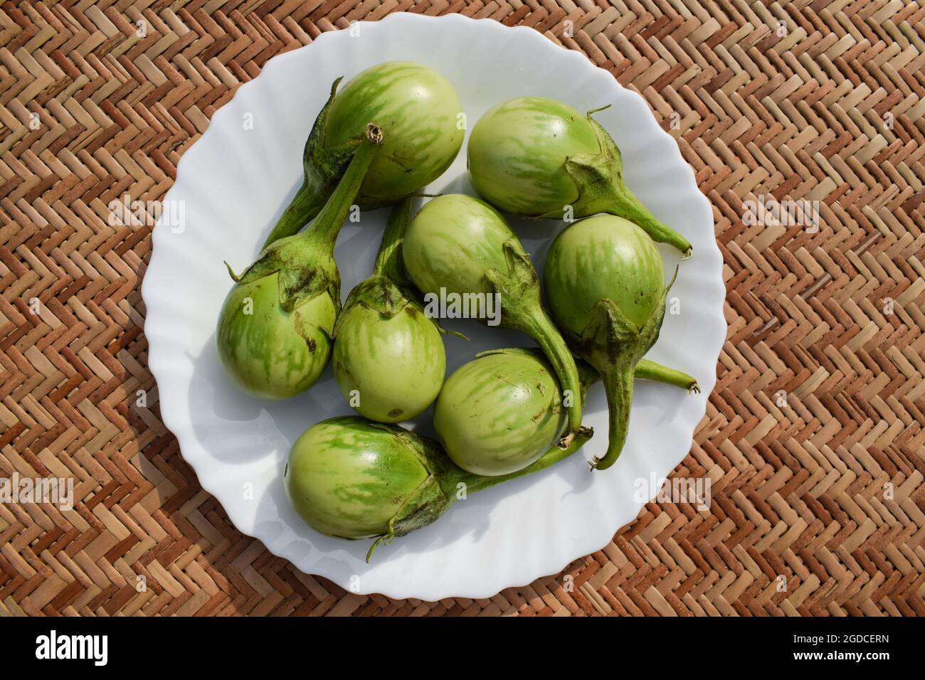 Fresh round light green coloured small sized Brinjals or eggplants on ...