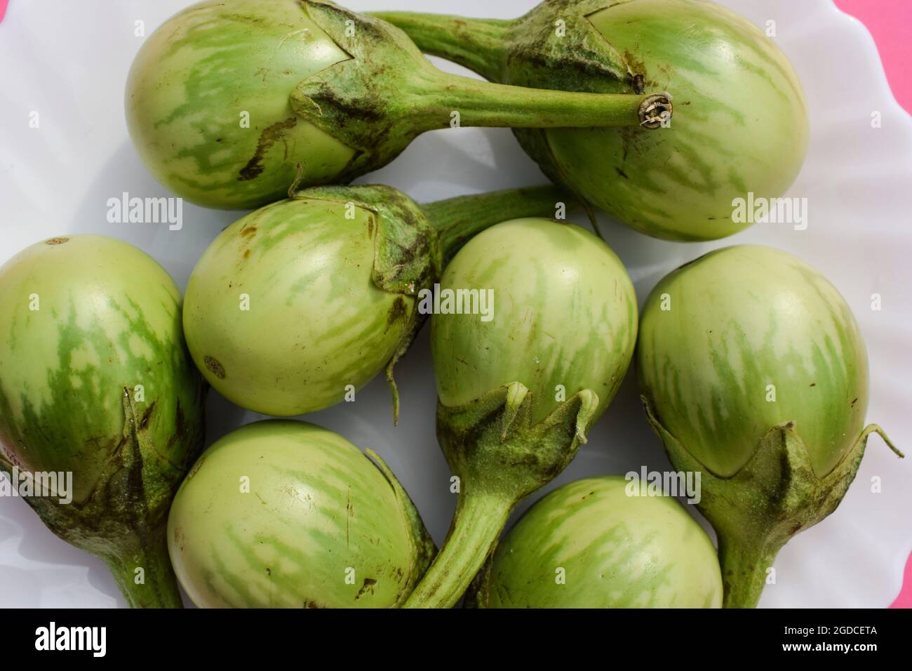 Green Brinjal