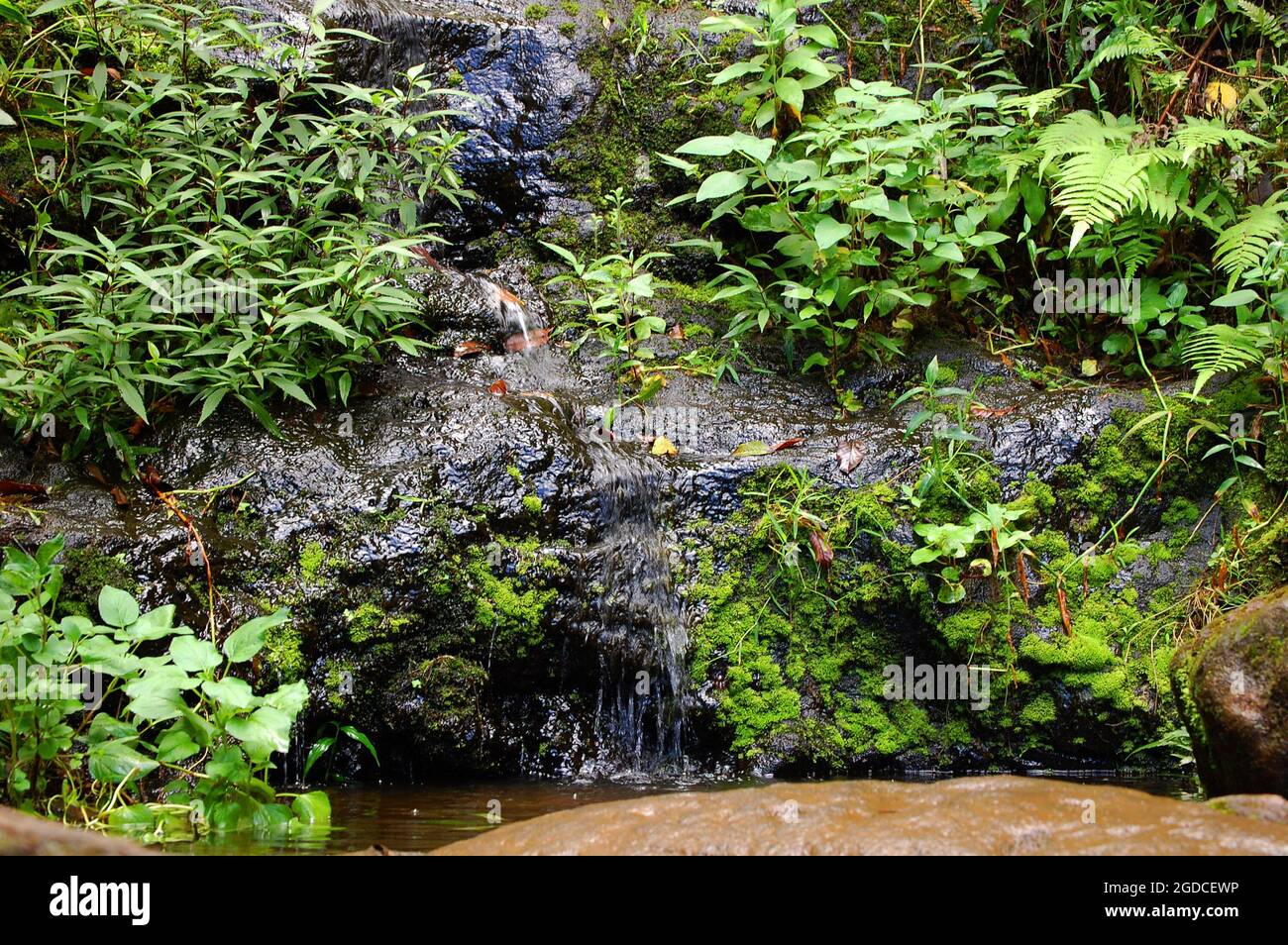 Water forms hi-res stock photography and images - Alamy