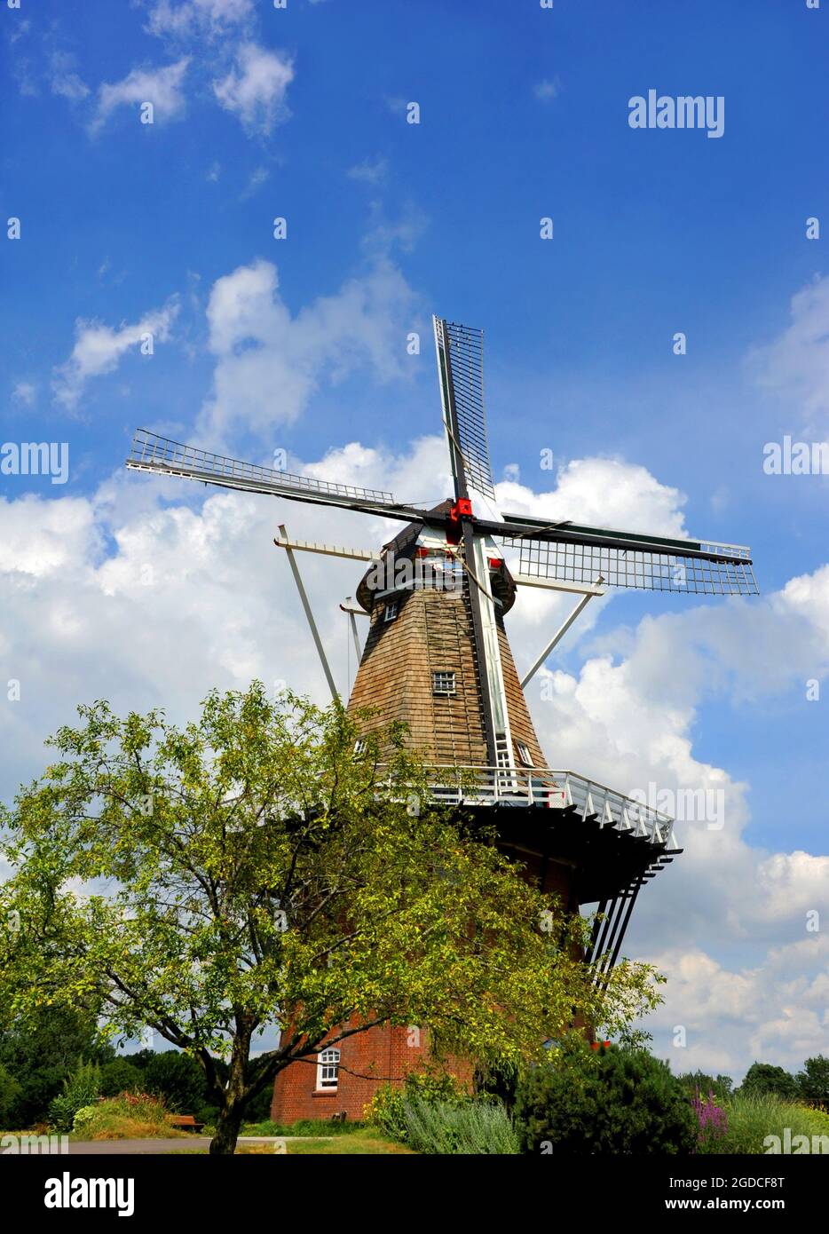 Authentic, Dutch, working windmill, called "the Swan", sits on Windmill ...