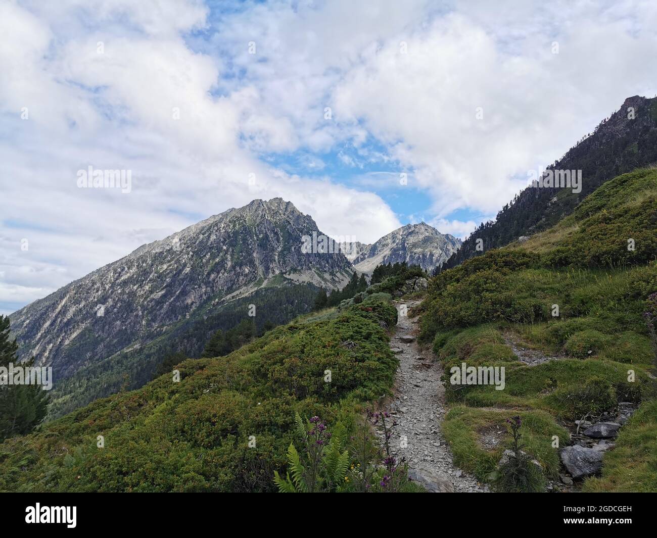 Landscape of a hill pathway with rocky mountains on the horizon Stock ...