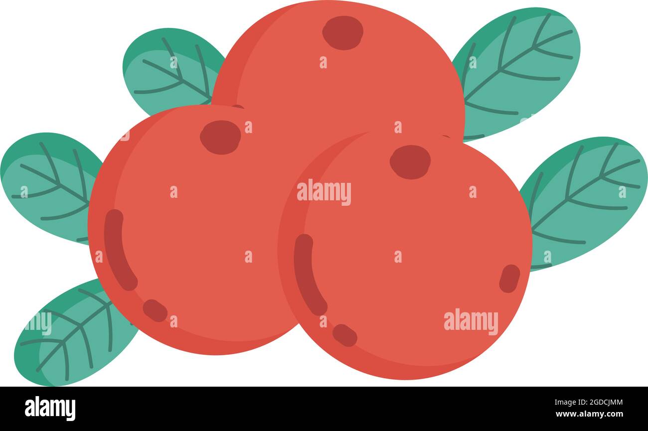 fruits cherry and leaves Stock Vector Image & Art - Alamy