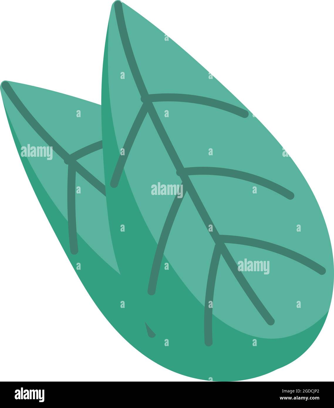 green leaves nature Stock Vector Image & Art - Alamy