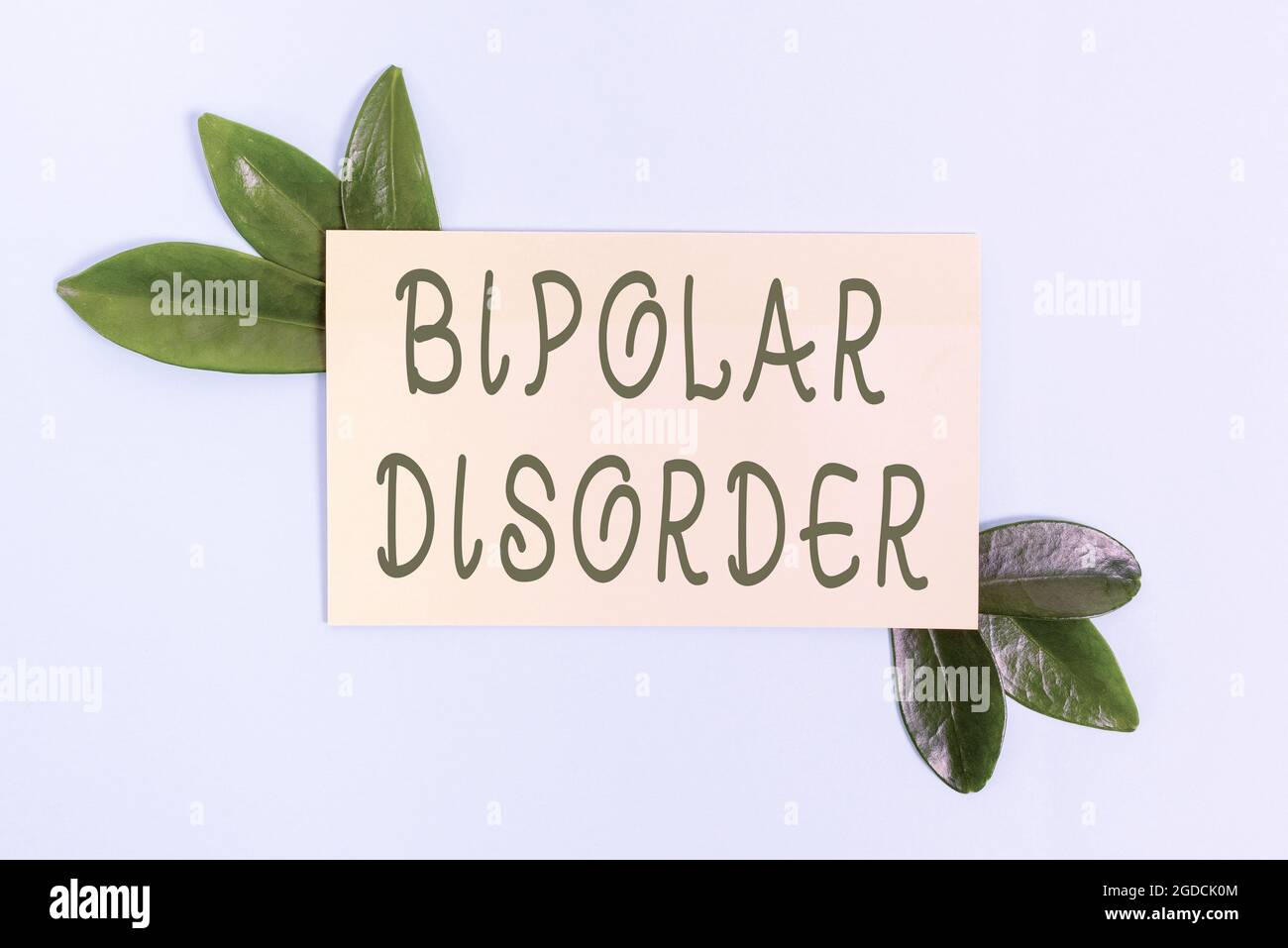 Handwriting text Bipolar Disorder. Conceptual photo mental illness that ...