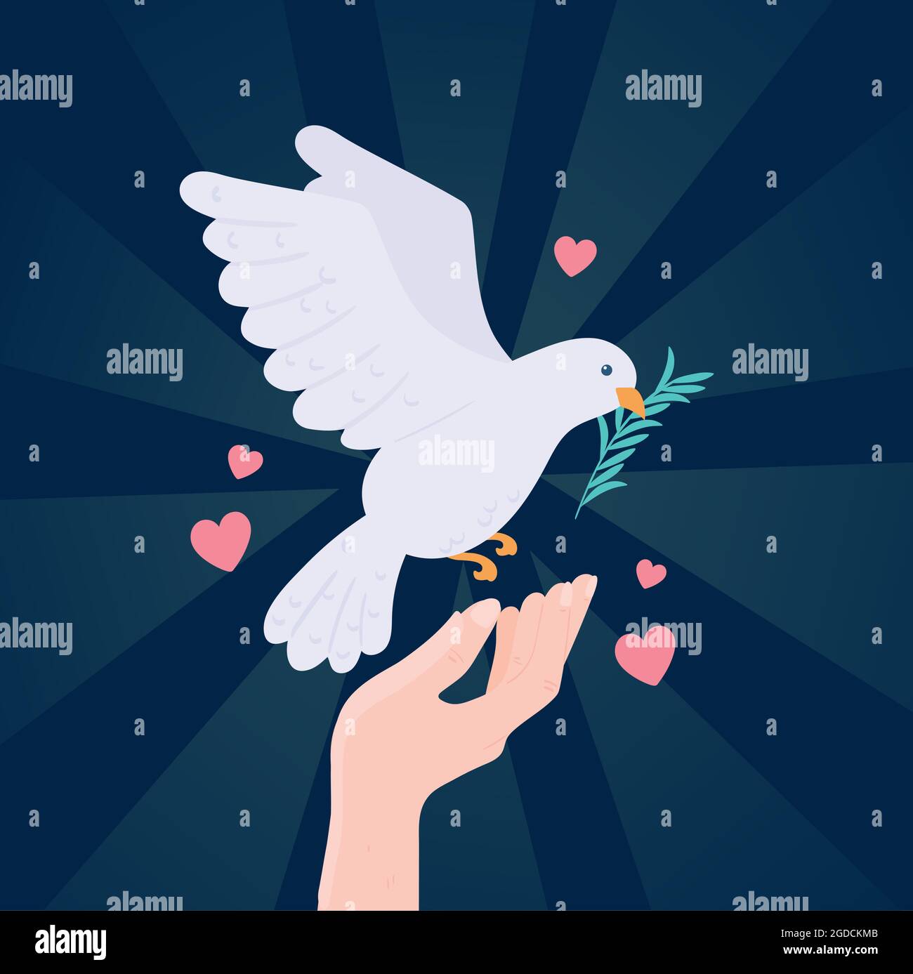 Dove olive hands hi-res stock photography and images - Alamy