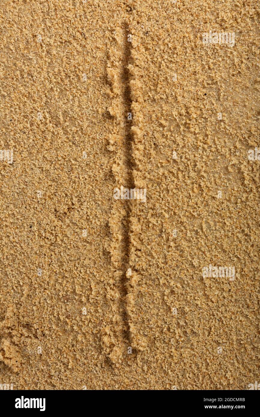 Alphabet letter written on wet beach sand Stock Photo - Alamy