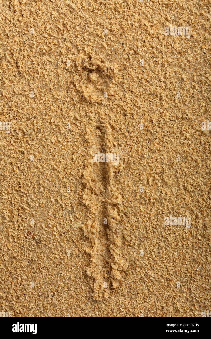 Alphabet letter written on wet beach sand Stock Photo - Alamy
