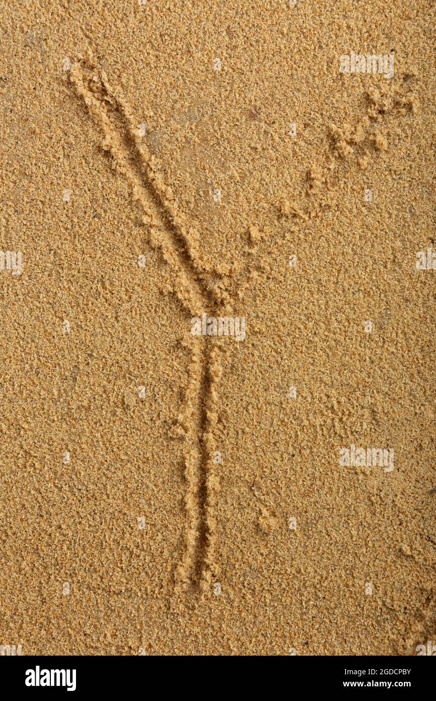 Alphabet letter written on wet beach sand Stock Photo - Alamy