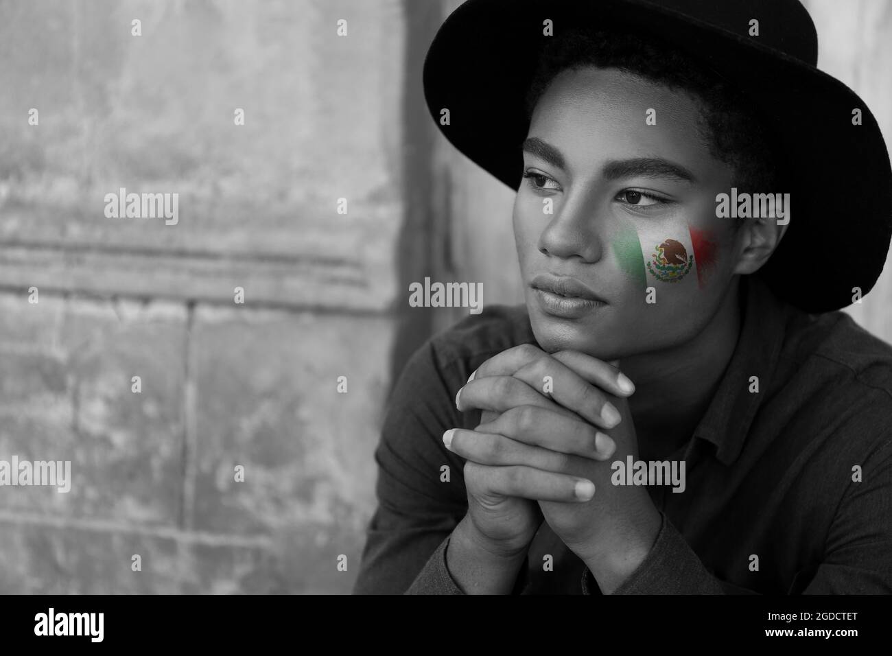 Bandera tricolore hi-res stock photography and images - Alamy