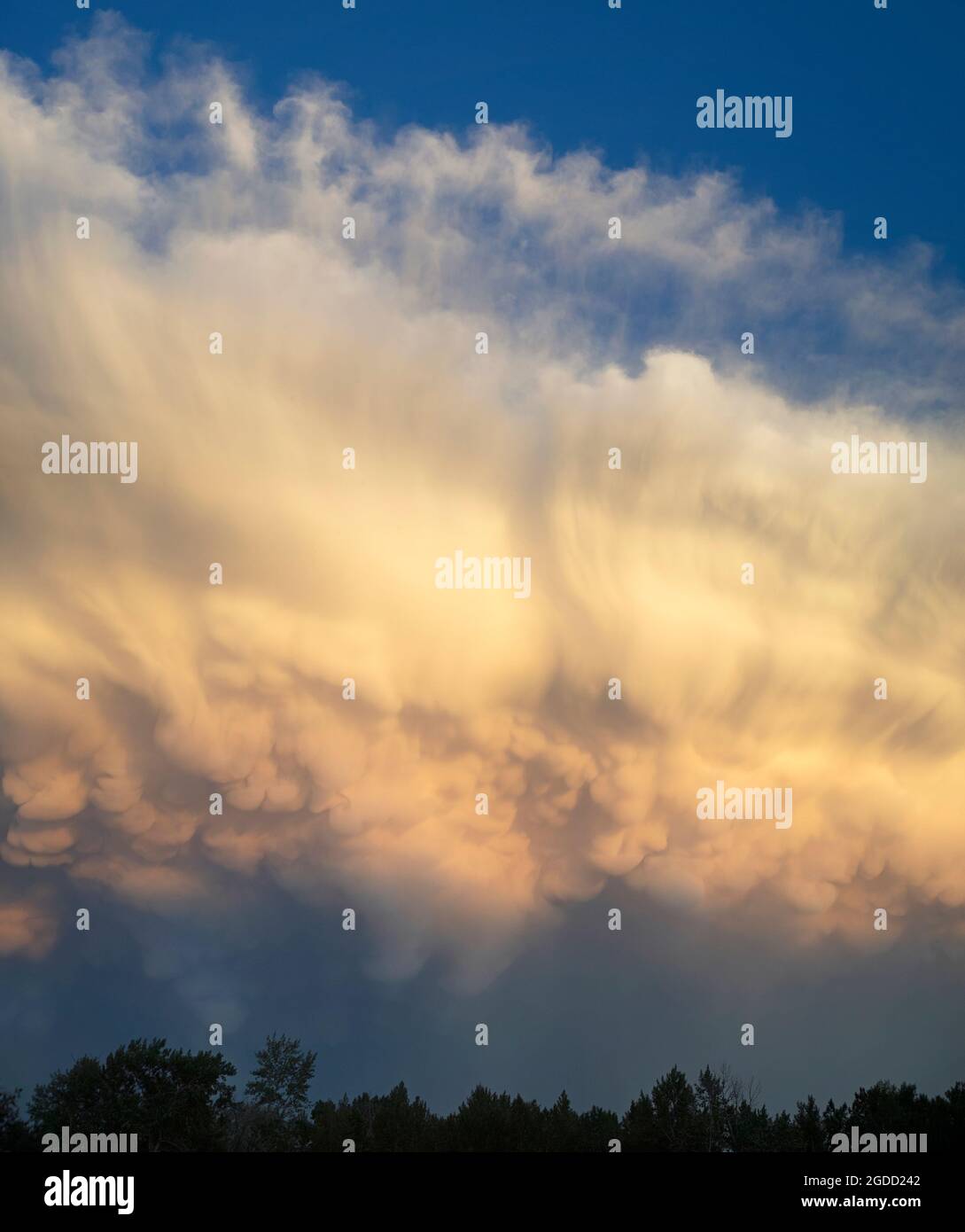 Cumulonimbus and mammatus hi-res stock photography and images - Alamy