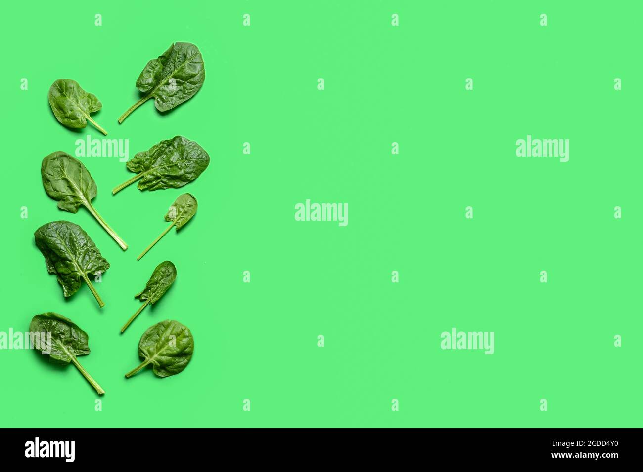 Fresh spinach leaves on color background Stock Photo - Alamy