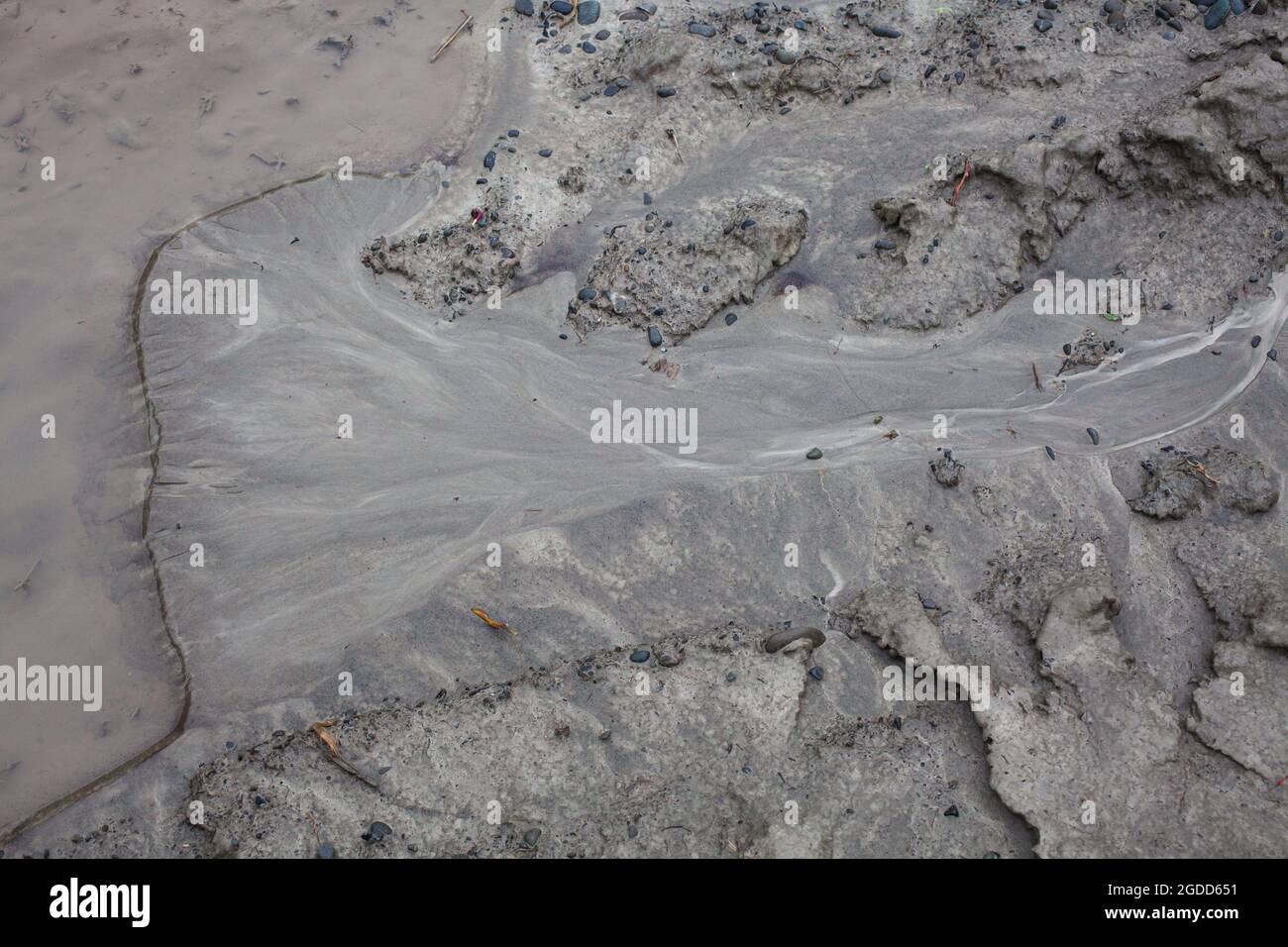 Micro-scale geographical features in silt after a river flood. The ...
