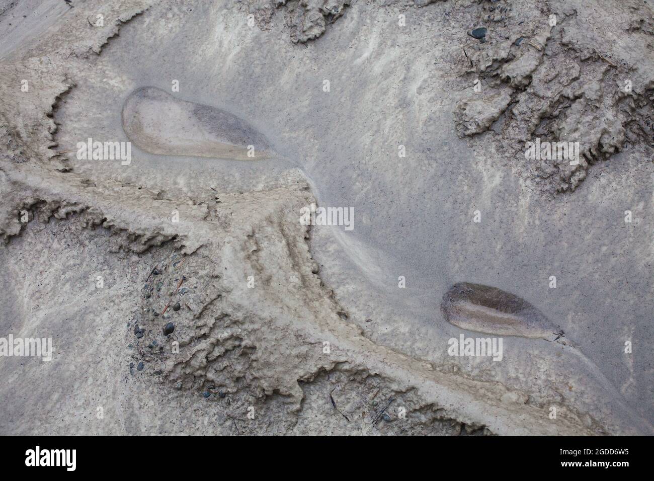 Micro-scale geographical features in silt after a river flood. The ...