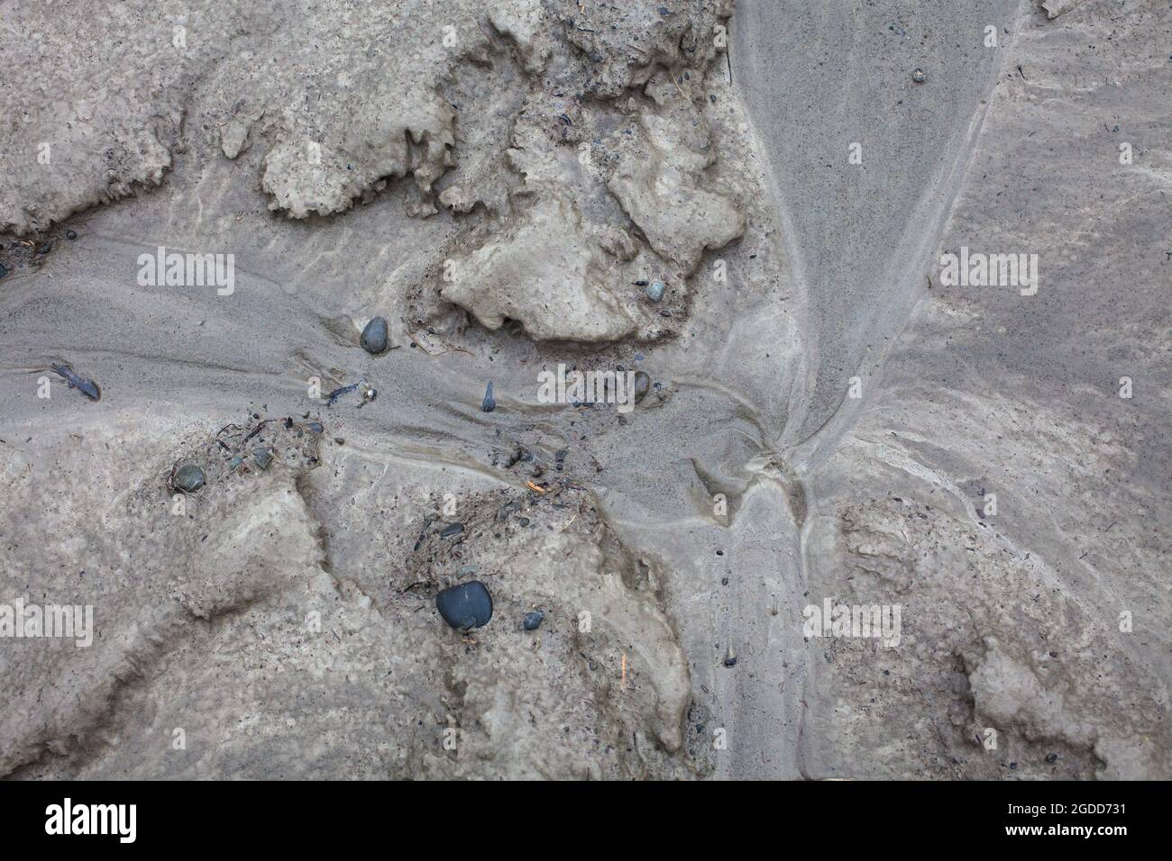 Micro-scale geographical features in silt after a river flood. The ...