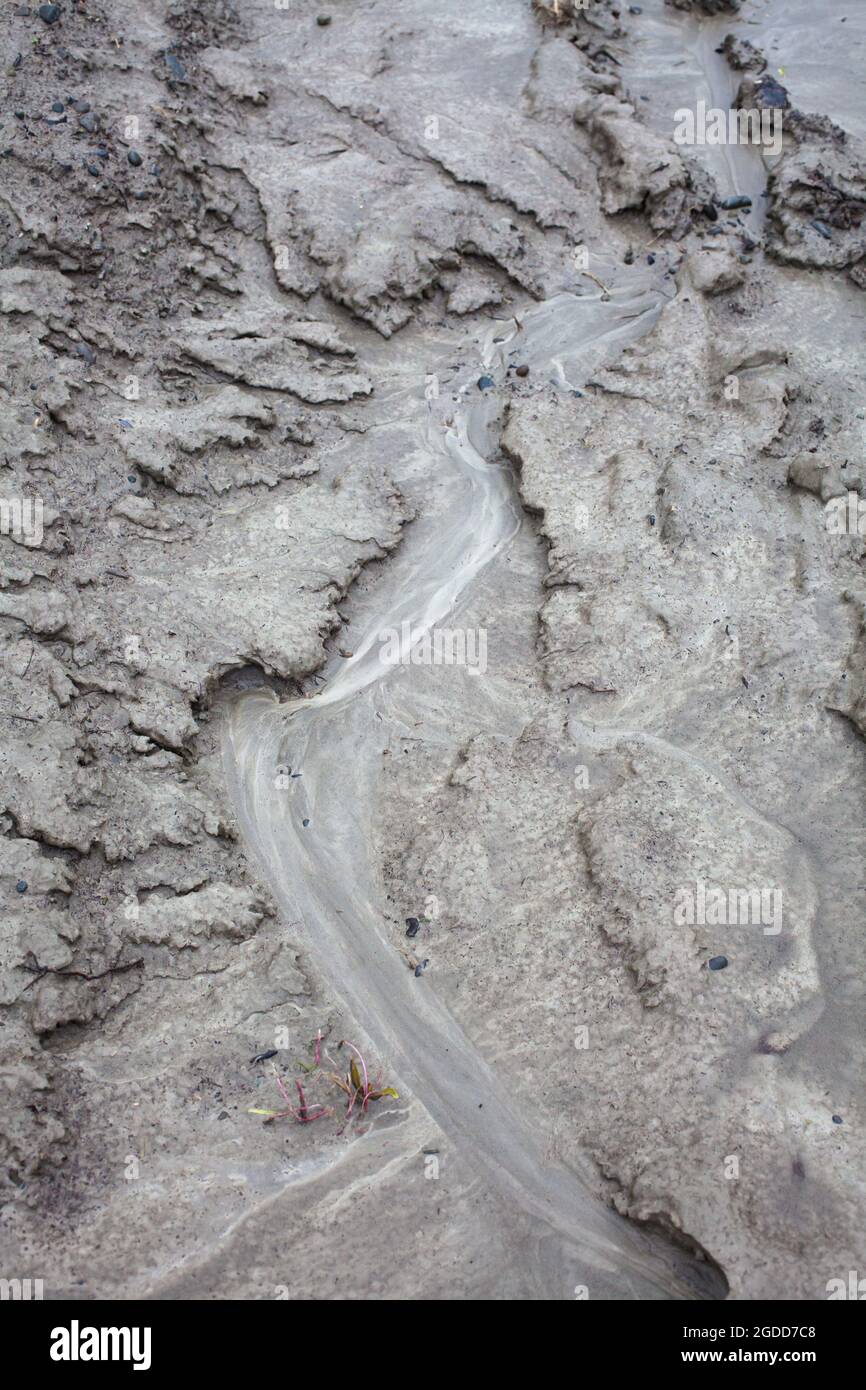 Micro-scale geographical features in silt after a river flood. The ...