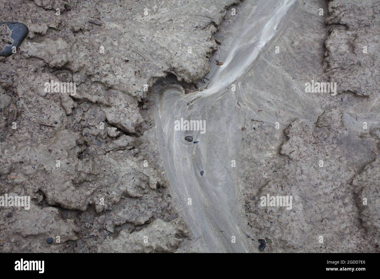 Micro-scale geographical features in silt after a river flood. The ...