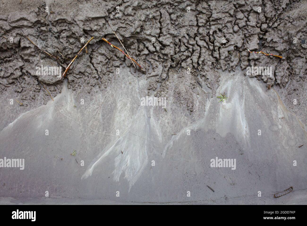 Micro-scale geographical features in silt after a river flood. The ...