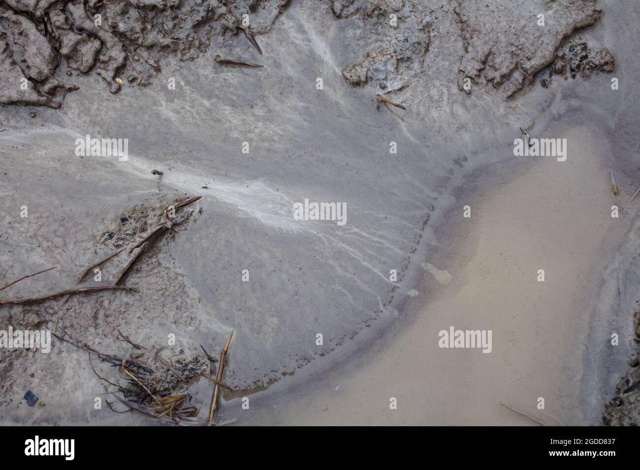 Micro-scale geographical features in silt after a river flood. The ...