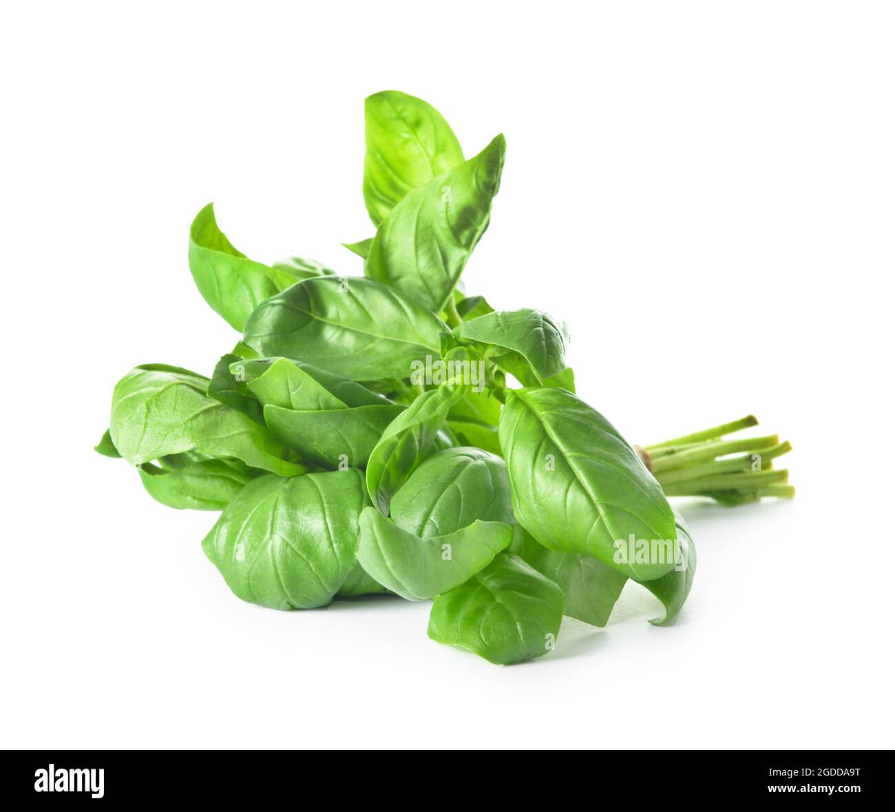 Bunch of fresh basil on white background Stock Photo - Alamy