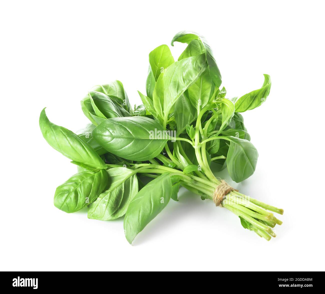 Bunch of fresh basil on white background Stock Photo - Alamy