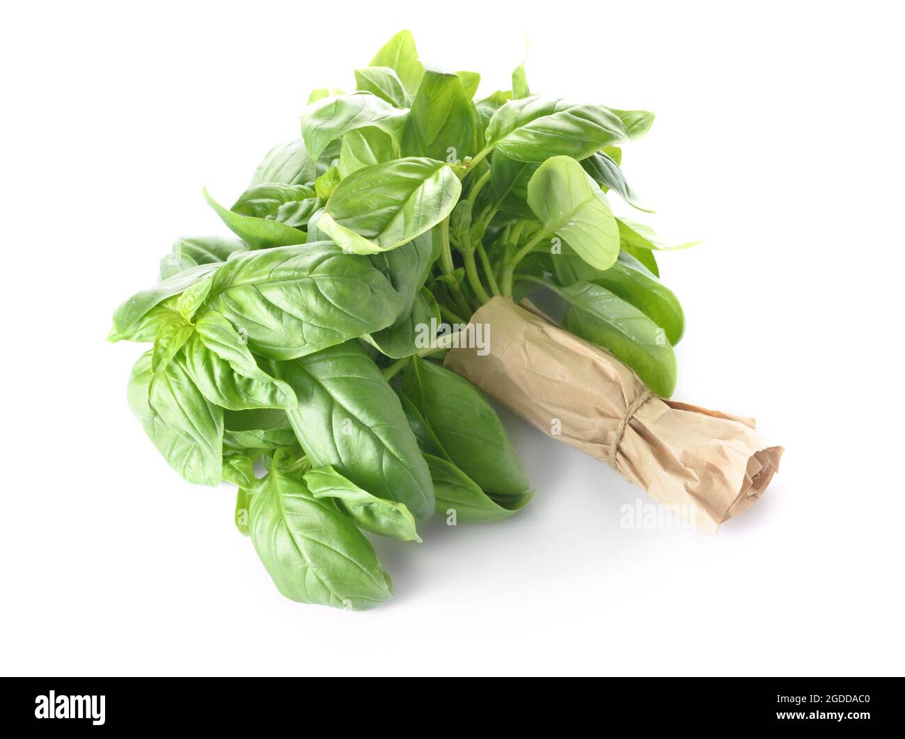 Bunch of fresh basil on white background Stock Photo - Alamy