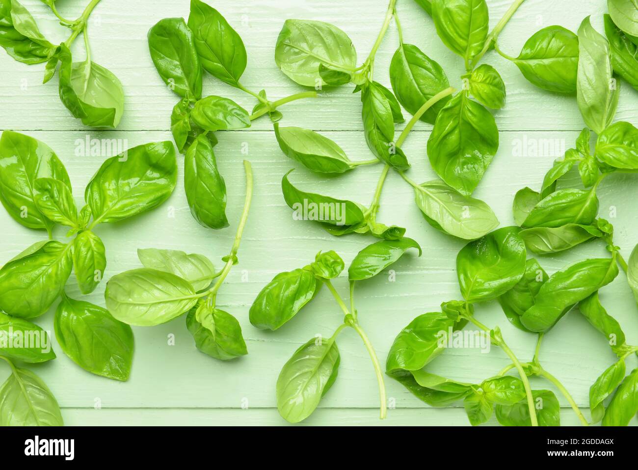 Fresh basil leaves on color wooden background Stock Photo - Alamy