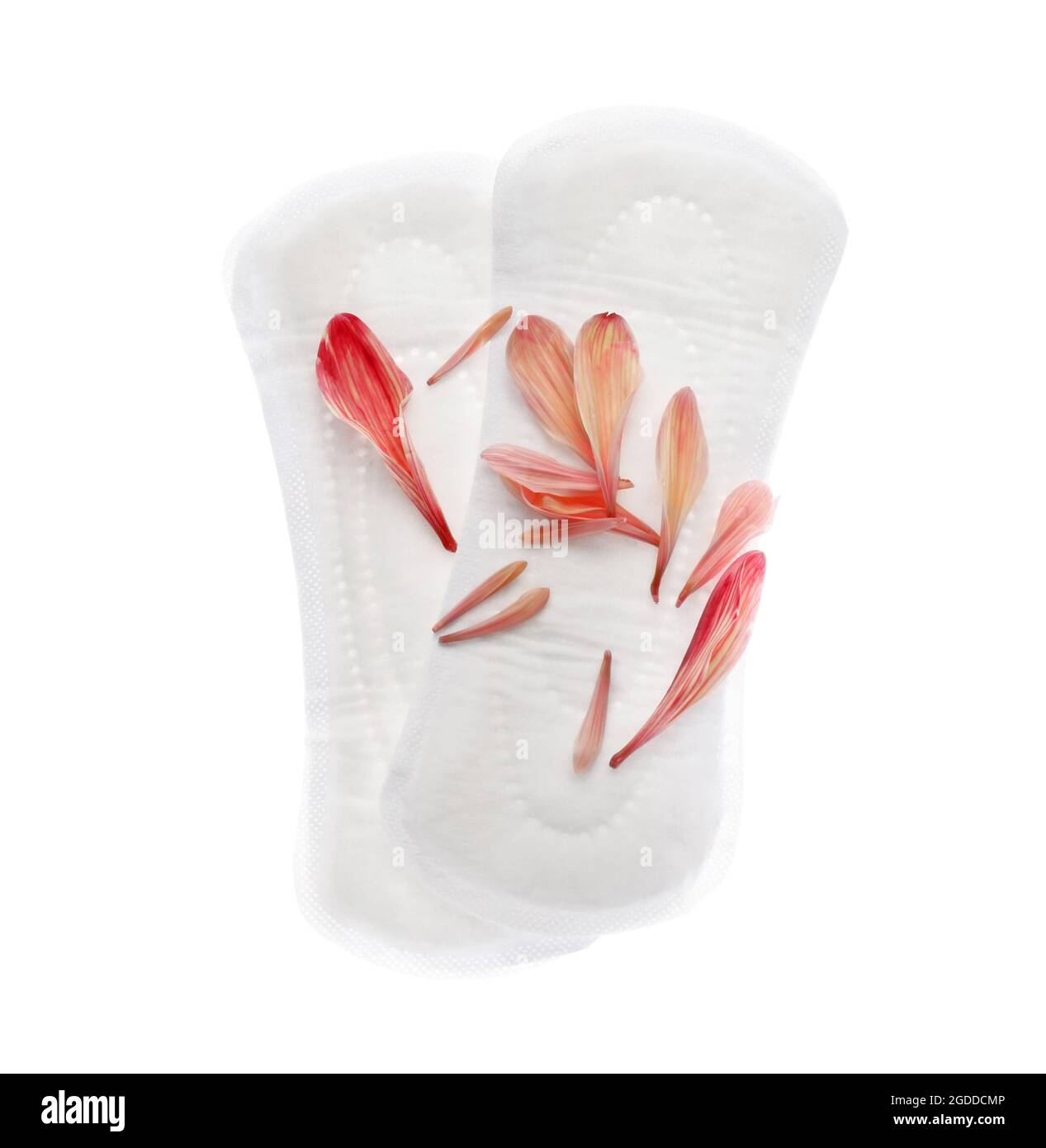 Menstrual pads and flower petals on white background Stock Photo - Alamy