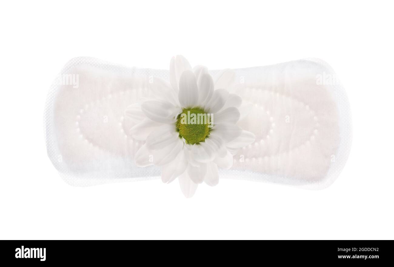Menstrual pad and flower on white background Stock Photo - Alamy