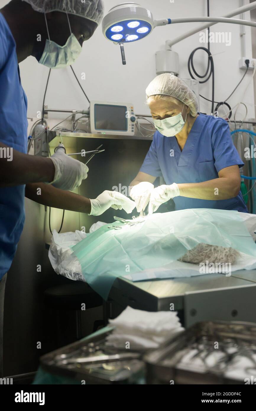American hospital activities hi-res stock photography and images - Alamy