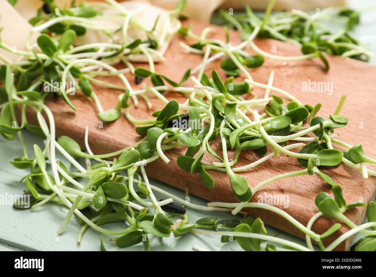 Board with fresh micro green on color wooden background, closeup Stock ...