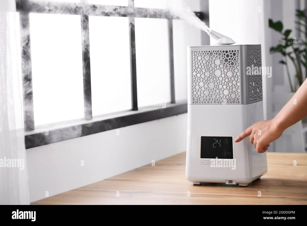Woman switching on modern humidifier in room Stock Photo - Alamy