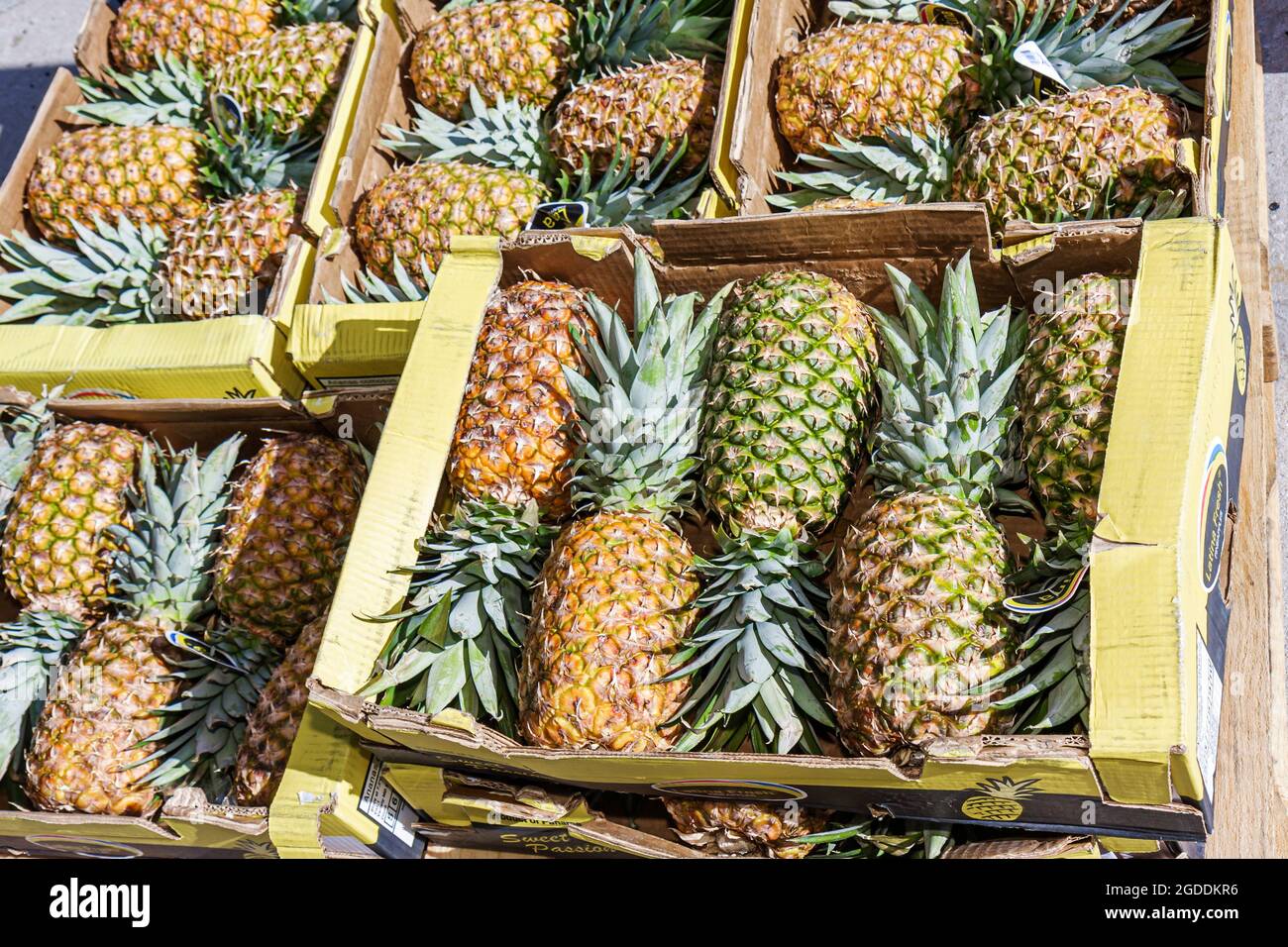 Miami Beach Florida,Lincoln Road Mall,farmers market cardboard box ...