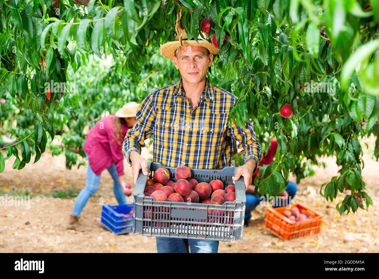 Worker carrying plastic crates hi-res stock photography and images - Alamy Worker carrying plastic crates hi-res stock photography and images - Alamy
