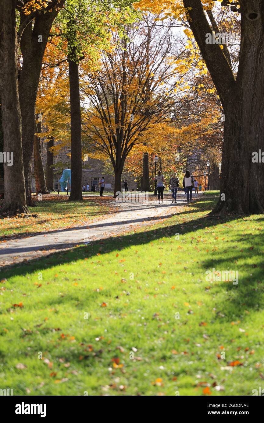 Princeton NJ. Nov 8, 2020. Princeton University campus is beautiful in ...