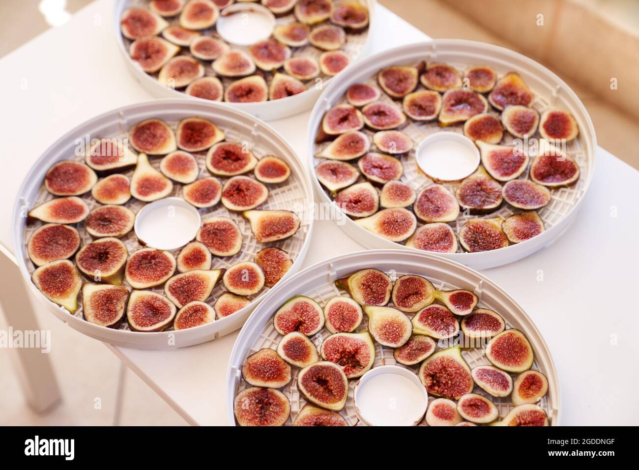 Fruit drying process on white dehydrator plates on balcony table Stock ...