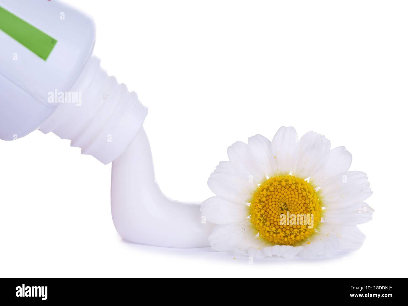 Toothpaste squeezed from tube, chamomile flower, close-up, isolated on ...