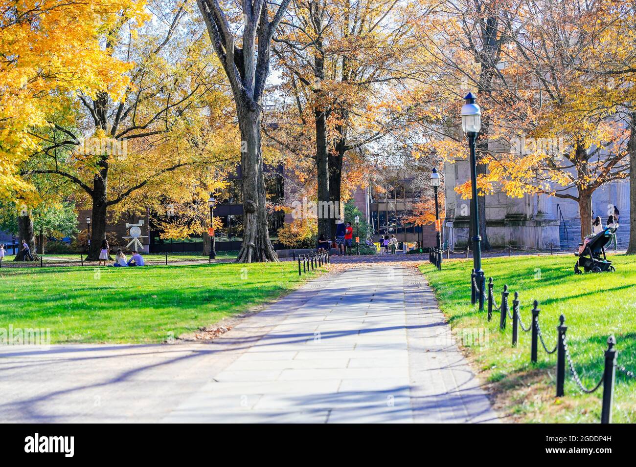 Princeton NJ. Nov 8, 2020. Princeton University campus is beautiful in ...