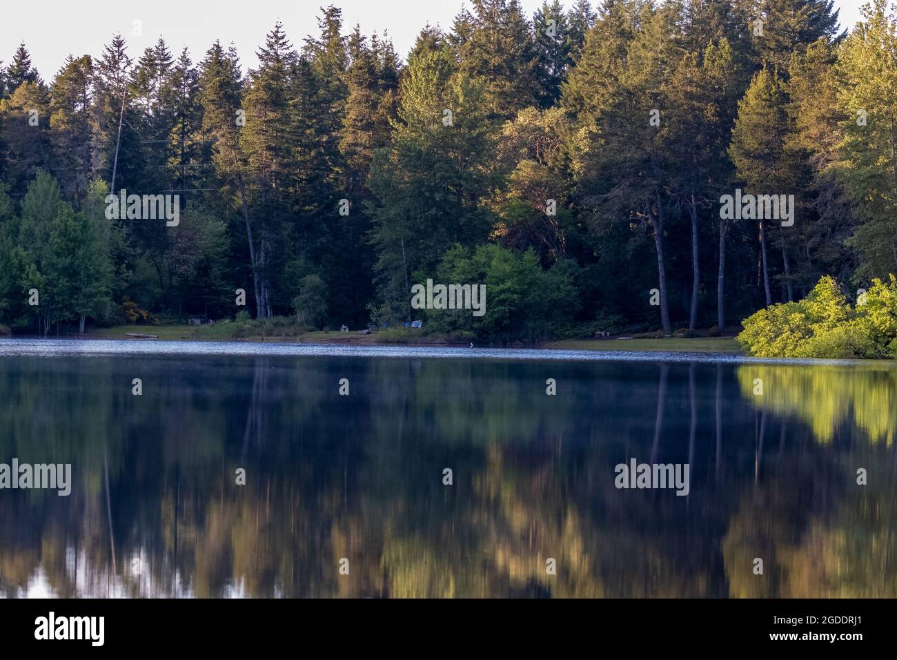 Treeline on the embankment hi-res stock photography and images - Alamy