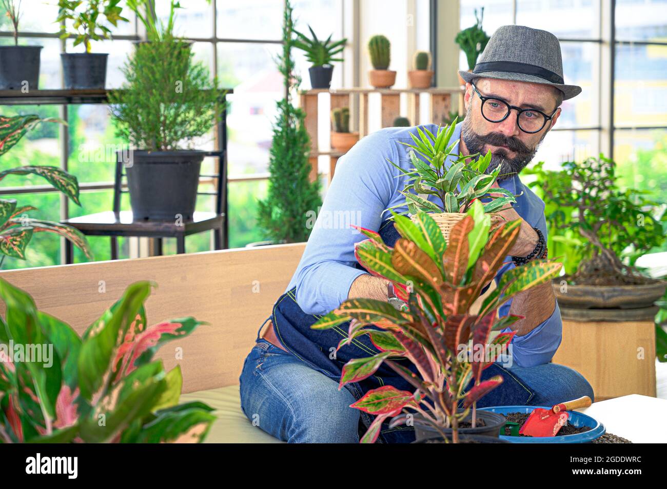 Relax hobbies lifestyle of Caucasian male wearing apron planting in the ...