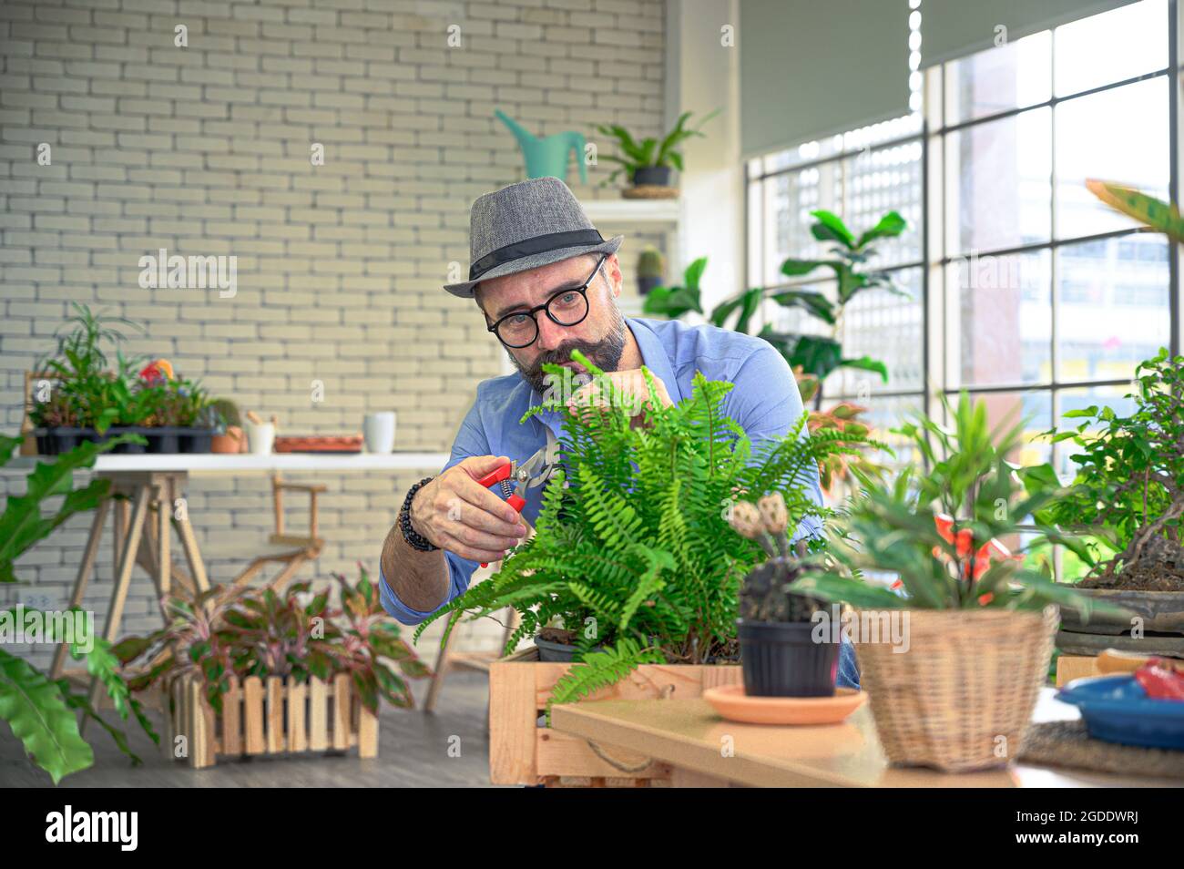 Relax hobbies lifestyle of Caucasian male wearing apron planting in the ...