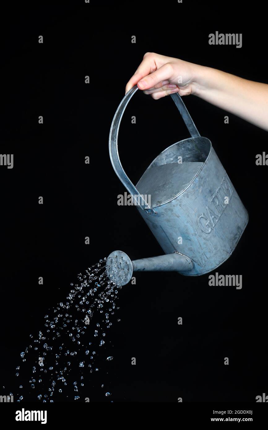 Water pouring from watering can on black background Stock Photo - Alamy