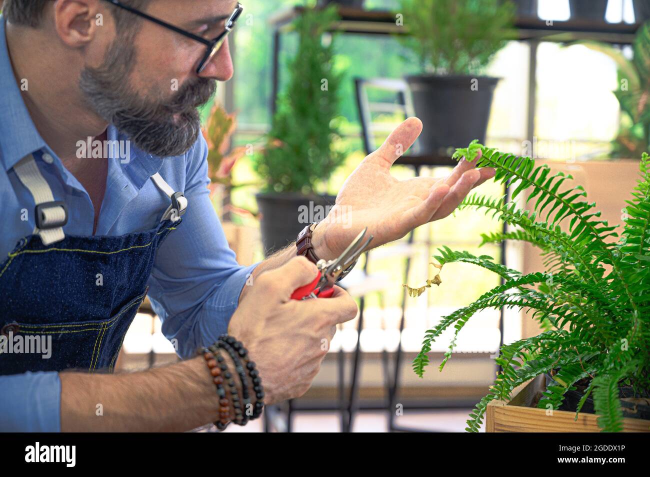 Relax hobbies lifestyle of Caucasian male wearing apron planting in the ...