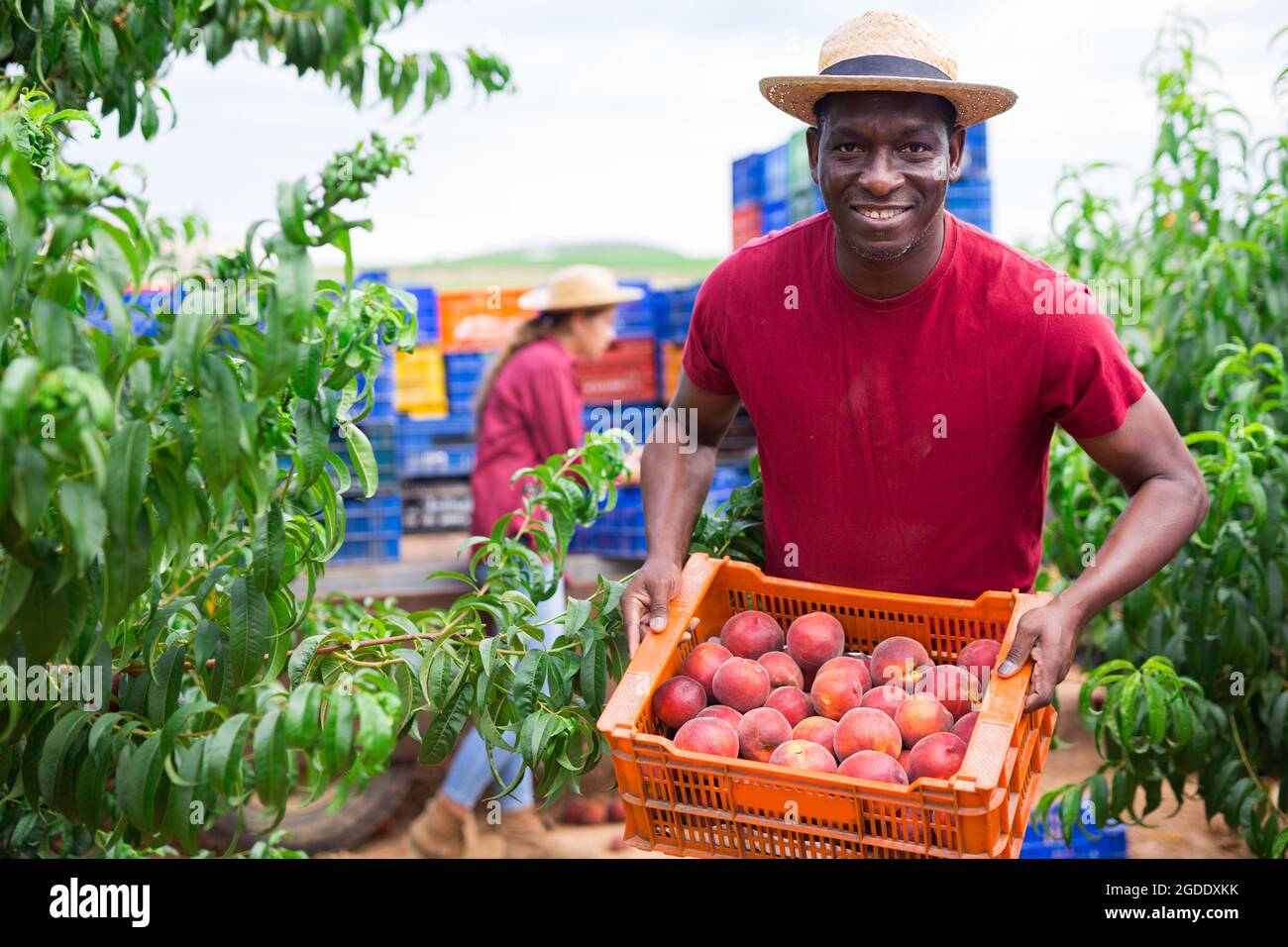 Nigerian culture male female hi-res stock photography and images - Alamy
