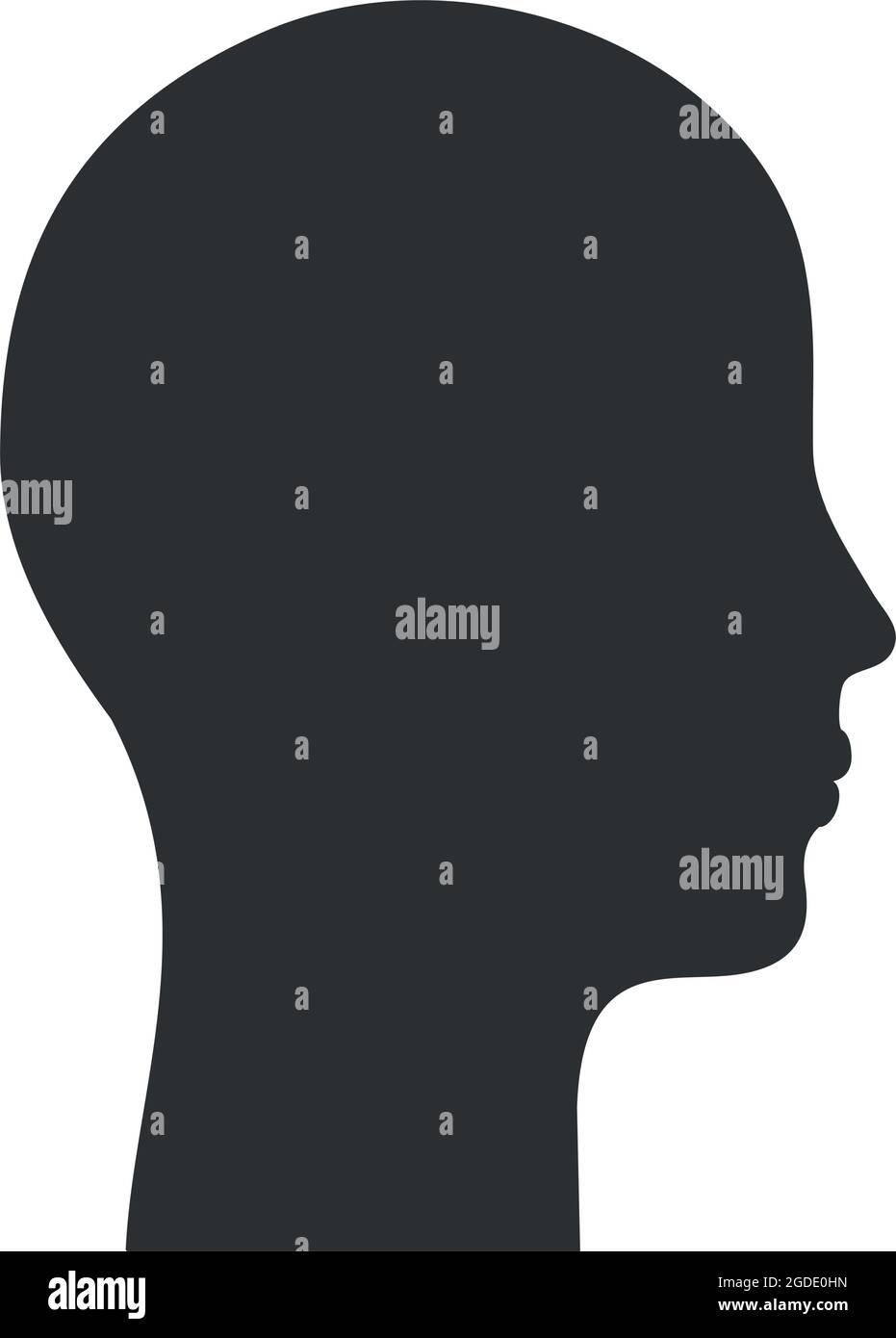 Side view head and neck portrait Stock Vector Images - Alamy