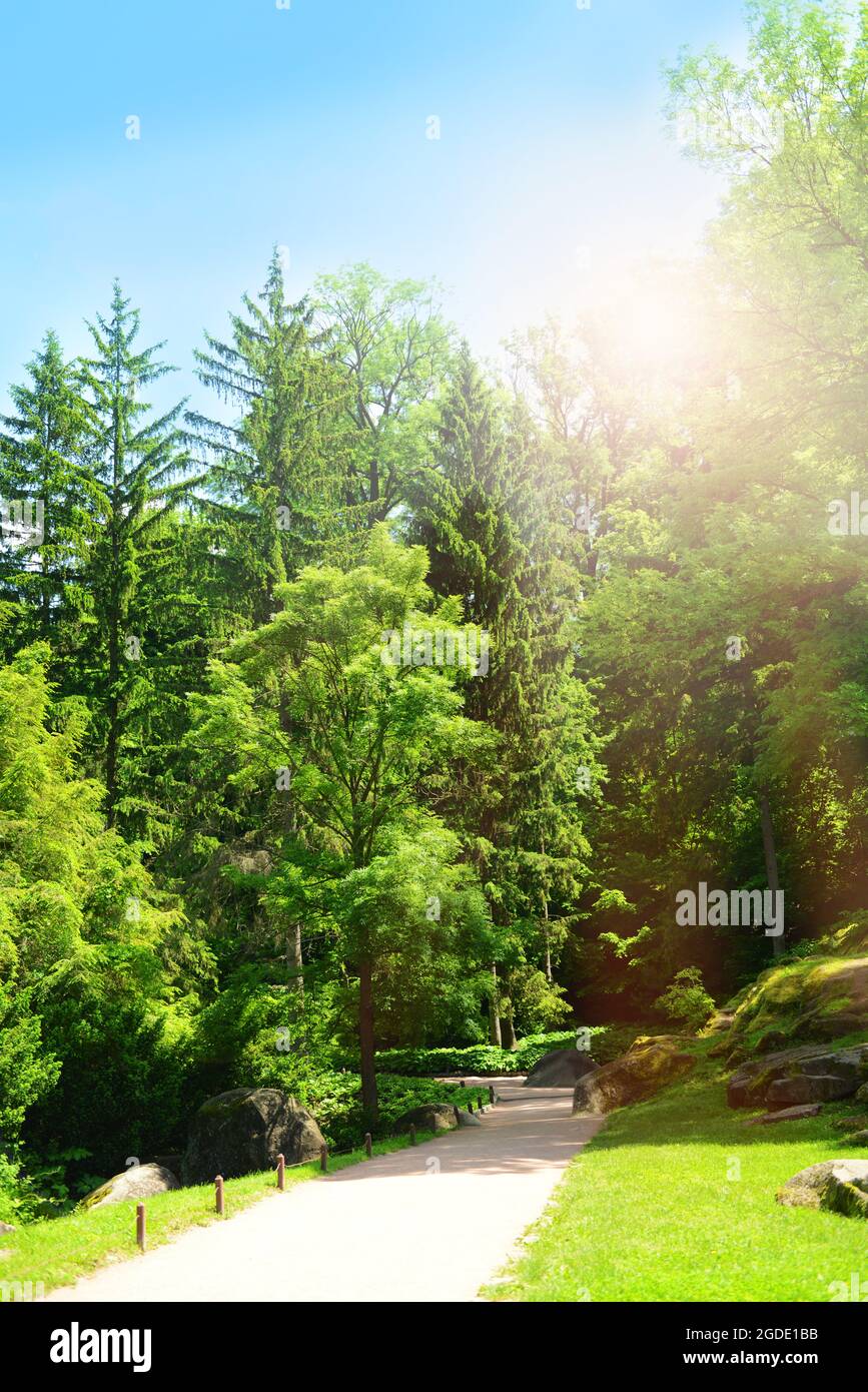 Beautiful park outdoors Stock Photo - Alamy
