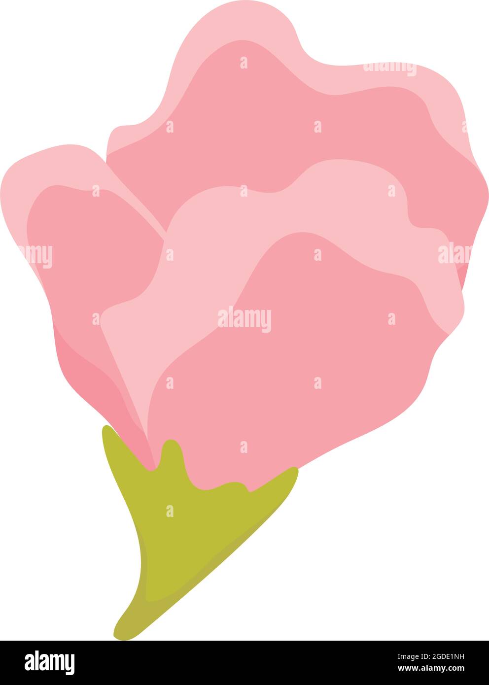 pink petals design Stock Vector Image & Art - Alamy