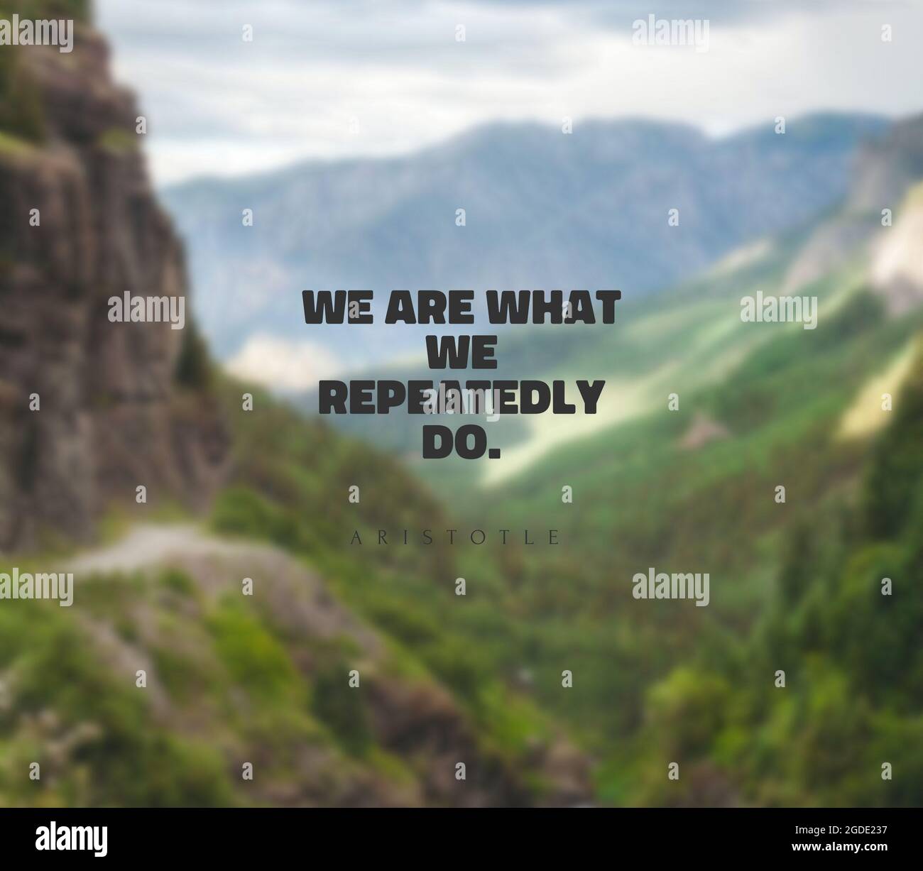 Inspirational quote by Aristotle. We are what we repeatedly do Stock ...