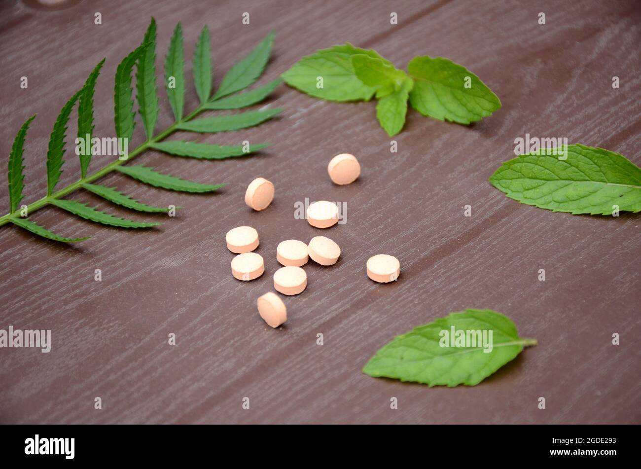 closeup bunch the pink color small medicines tablet with green mint and ...