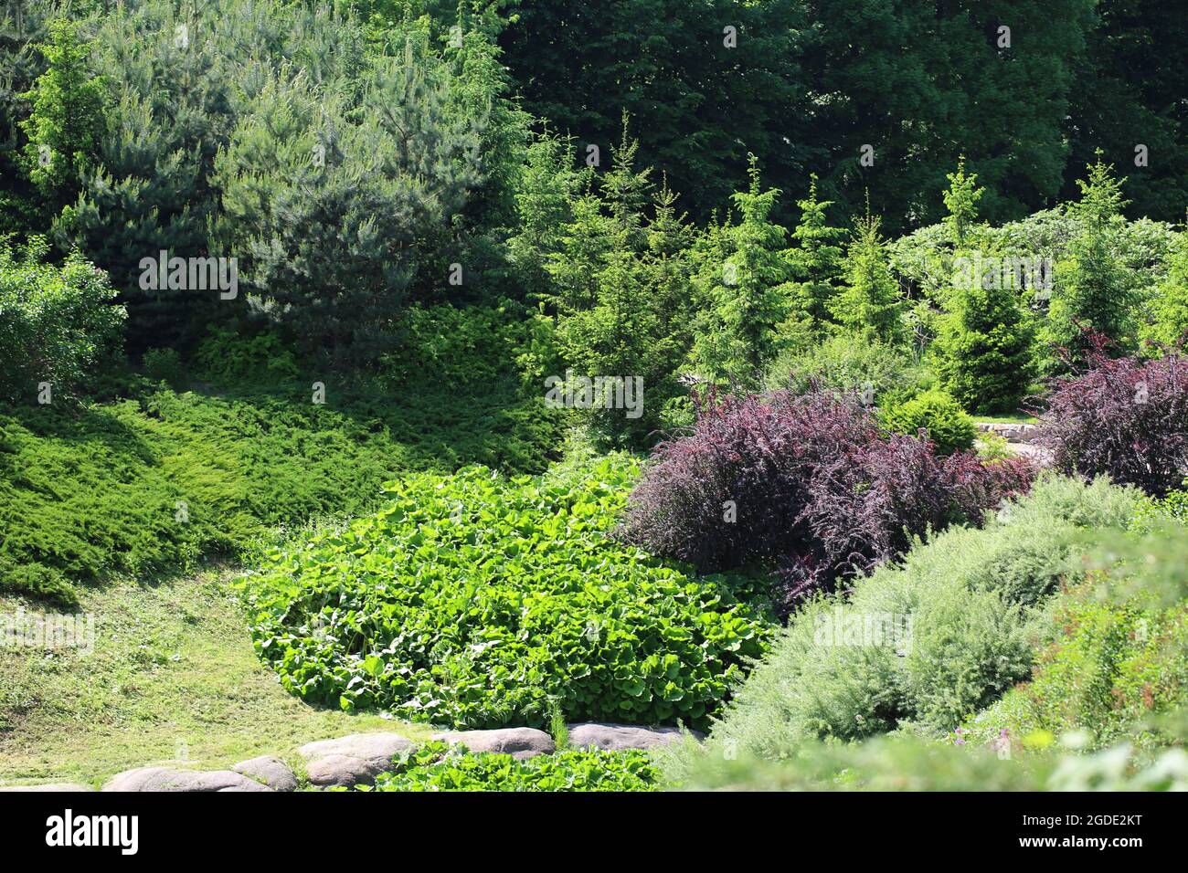 Green nature landscape Stock Photo - Alamy